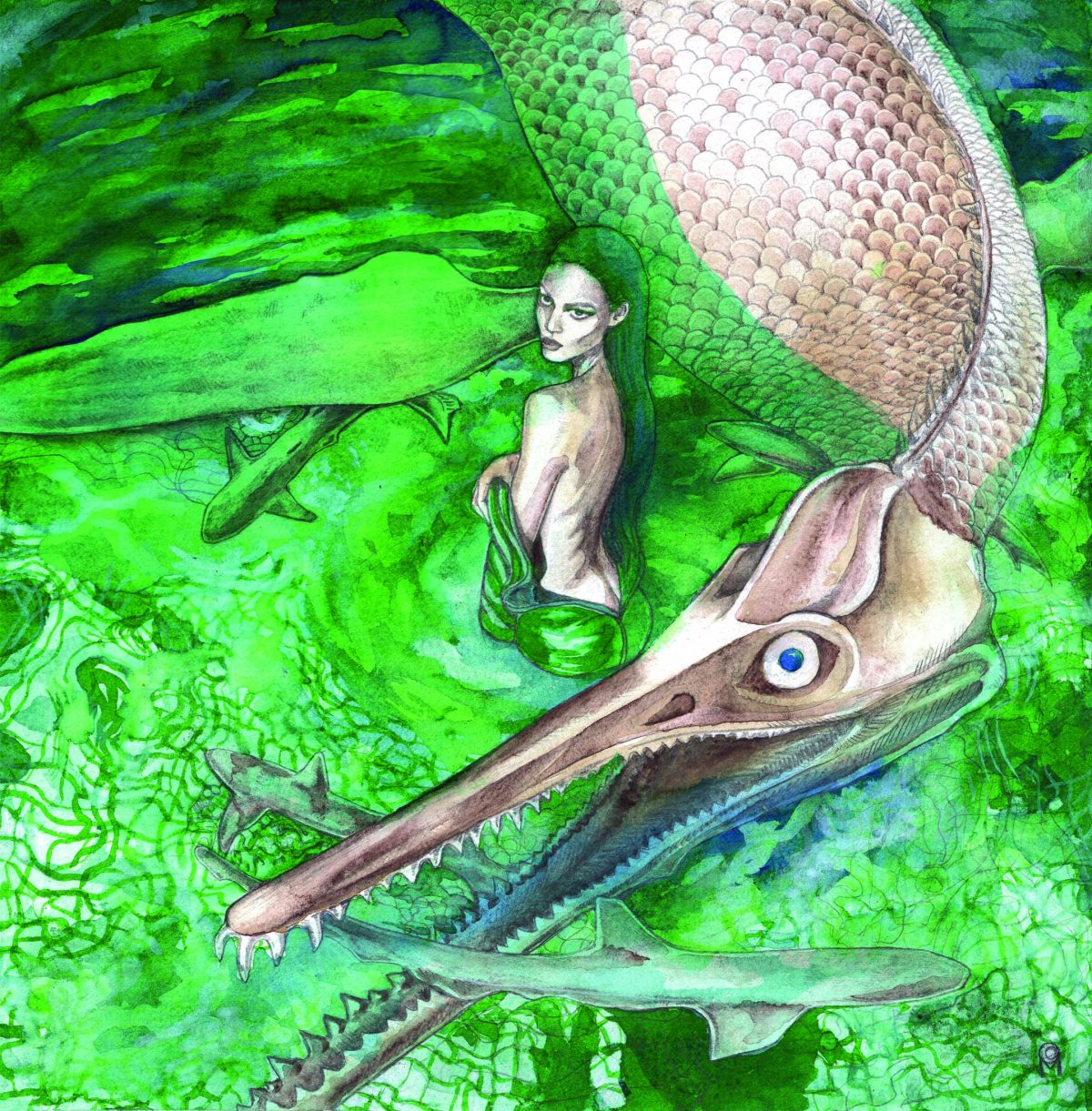 Gallery - Caitlin Mattisson